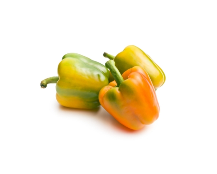 Buy Pepper Sun Tan - Fresco