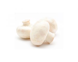 Buy Mushroom Silver Dollar 10lb - Fresco