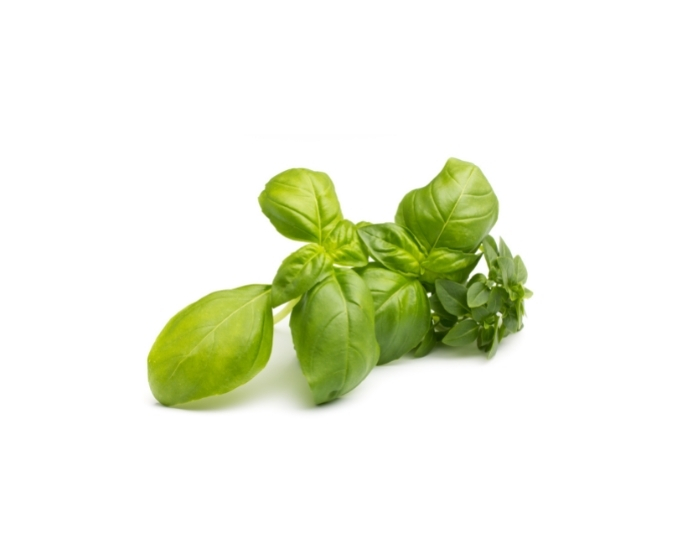 Buy Basil 4oz - Fresco