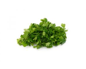 Buy Cilantro Kilo - Fresco