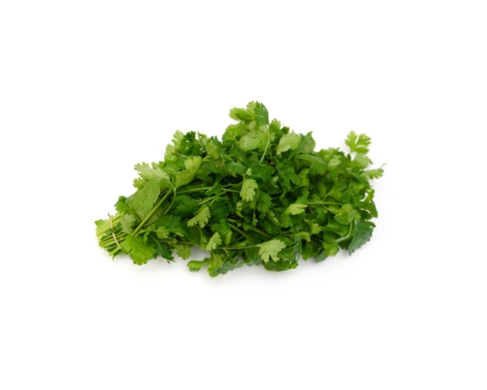 Buy Cilantro Kilo - Fresco