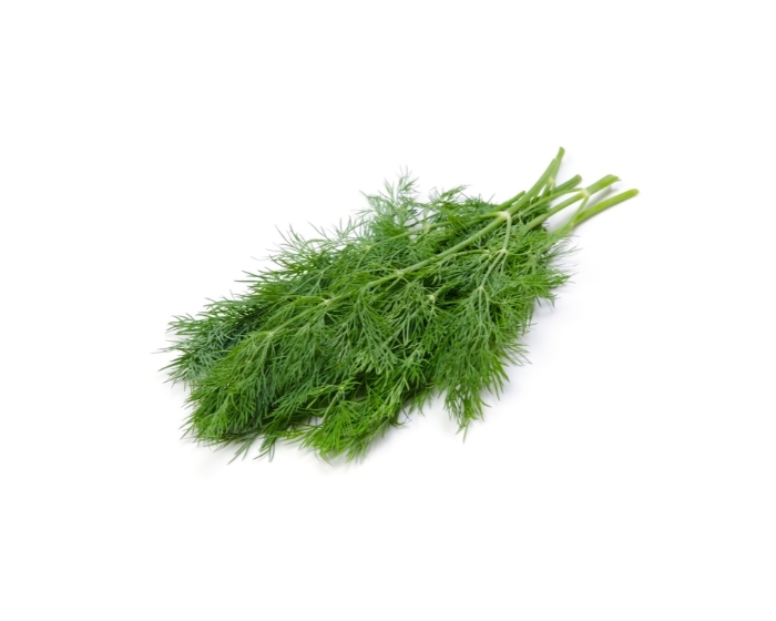 Buy Dill 4oz - Fresco