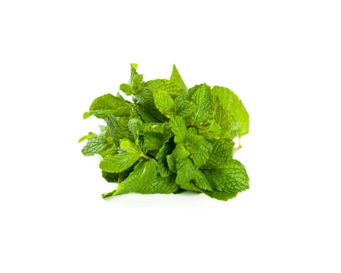 Buy Mint Kilo - Fresco