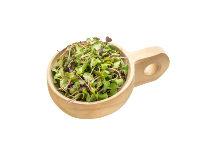 Buy Micro Rainbow Mix - Fresco