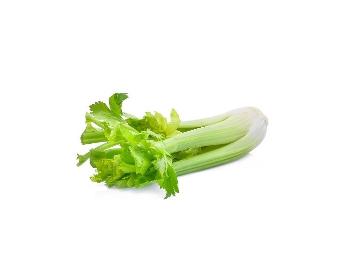 Buy Celery - Fresco