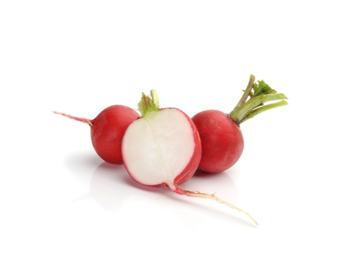 Buy Radish Cello - Fresco