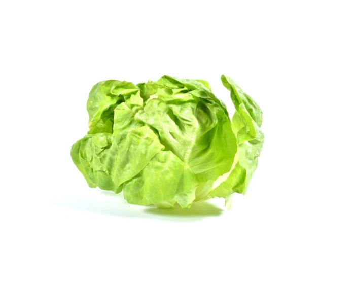 Buy Boston Lettuce - Fresco