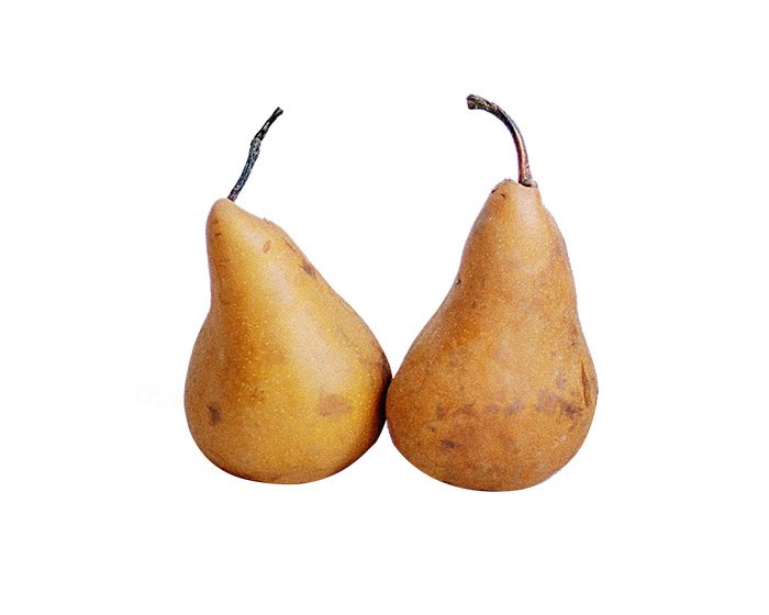 Buy Pears Bosc 100ct - Fresco