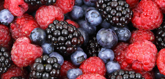 Buy Blueberries (Driscoll) - Fresco