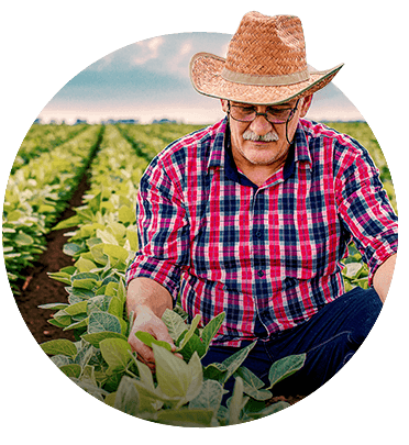 Fruit and vegetable wholesalers | Fresco Products